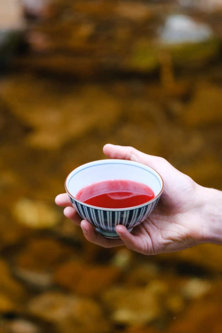 Tchai Ovna – House of Tea