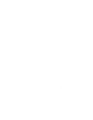 Tchai Ovna – House of Tea